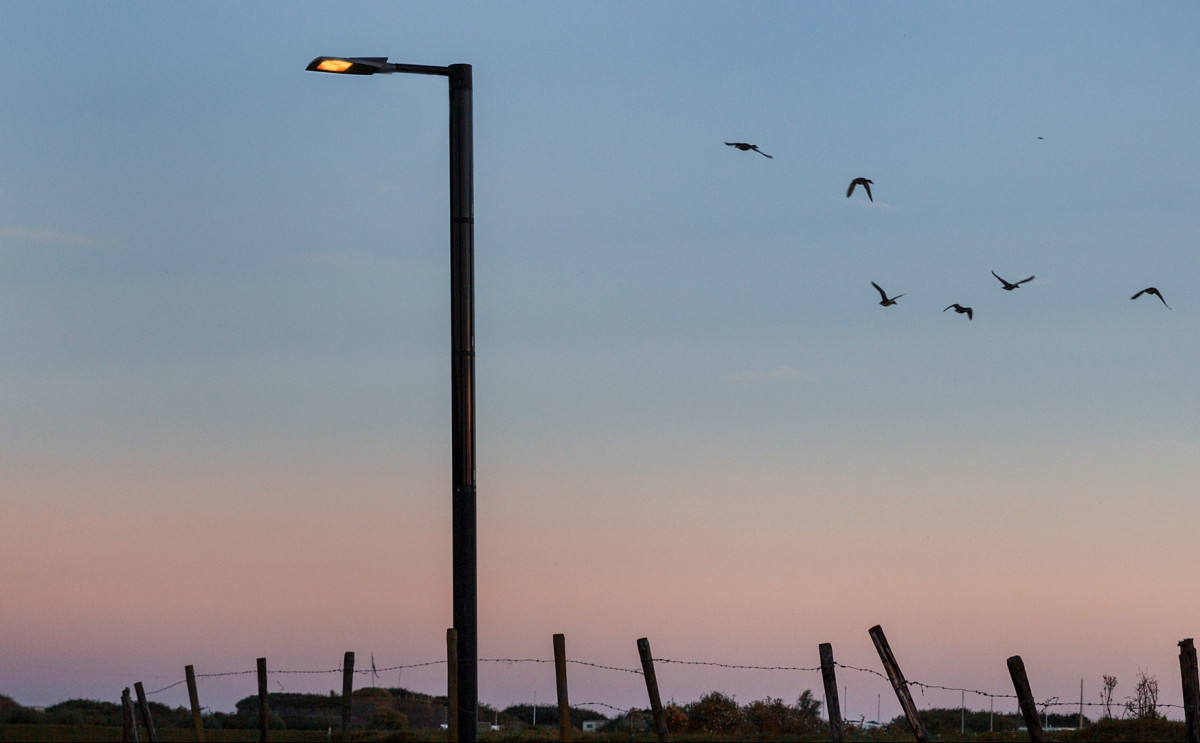 New Solar solution: Soluxio wildlife friendly lighting